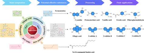 Pomegranate A Comprehensive Review Of Functional Components Health Benefits Processing Food