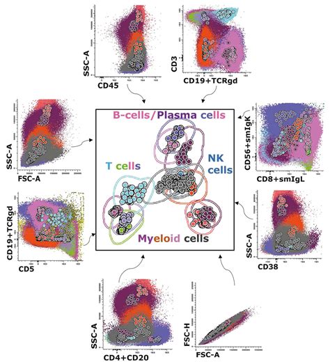 Schematic Representation Of Merged Reference Data Files