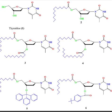 Chemical Structure Of Designed Thymidine Analogs 2 6 Download