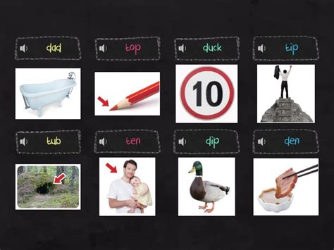 SF3 Phonics 2 d t 重新排序