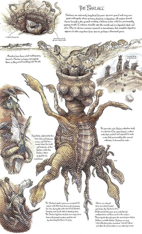 Sarlacc Pit Anatomy