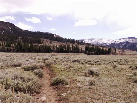 Lamar River Trail Yellowstone National Park