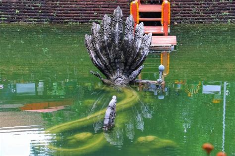 สระมุจลินทร์ สระน้ำพญานาคศักดิ์สิทธิ์ ศิลปะล้านช้าง พระธาตุบังพวน หนองคาย