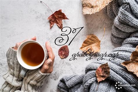 Өнөөдрийн тухай таны мэдэх ёстой 13 зүйл Үс шинээр үргээлгэх буюу засуулахад тохиромжгүй