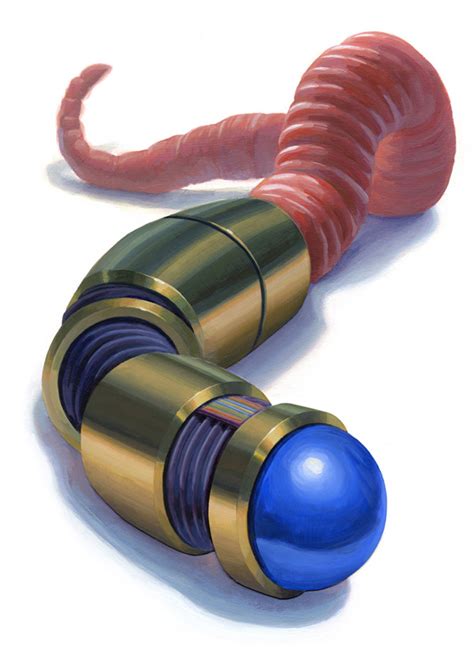 Robotic Bugs Hireillo Hire An Illustrator