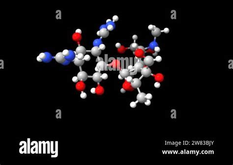 Animated 3d Ball And Stick And Spacefill Models Of Aminoglycoside Antibiotic Streptomycin Black