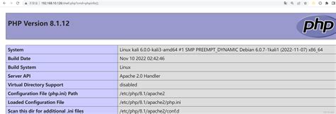 超全的命令（代码）执行漏洞无回显的姿势总结（附带详细代码和测试分析过程）kali 带外无回显 Csdn博客