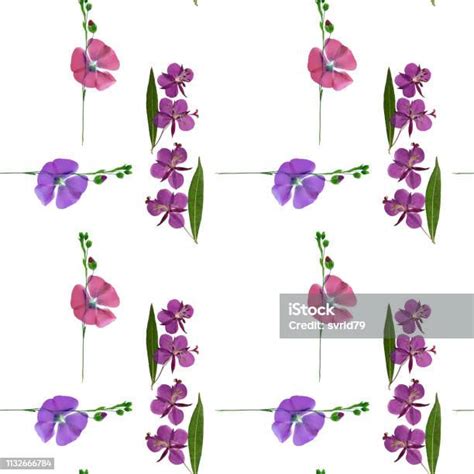 아마 윌로 우헤 에필로그 꽃의 완벽 한 패턴 질감입니다 꽃 배경 사진 콜라주 0명에 대한 스톡 사진 및 기타 이미지 0명 공예 꽃 나무 Istock