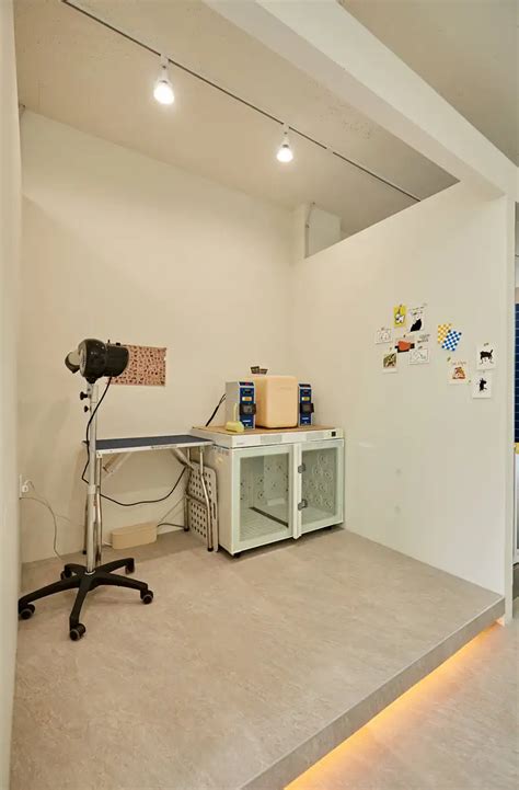 시원한 블루 컬러 포인트 10평 애견 셀프 목욕샵 인테리어 고양 덕양구 도내동