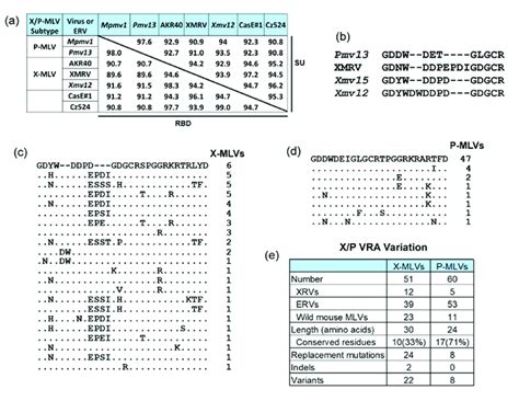 Variation In Xp Mlv Env Genes A Matrix Showing Percent Sequence