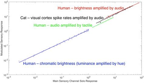amplified sensory responses are power laws of unenhanced responses the
