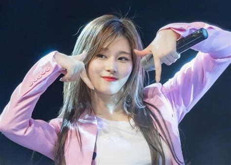 Sana From Twice Turns On The Alarm About Her Health After Collapsing During A Concert In The Us