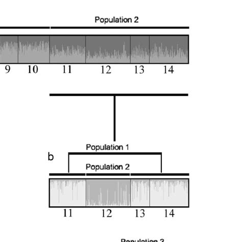 Hierarchical Bayesian Cluster Analysis Performed In Structure Using All