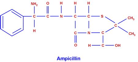 MolecularHUB Ampicillin
