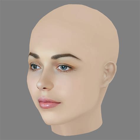 Sofya Sinitsyna Head No Hair Low Poly Head For Game 3d Model By