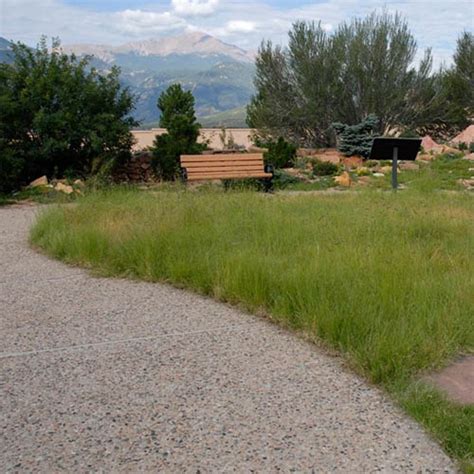 Short Native Grass Seed Mixture For Drought Tolerance And Xeriscaping