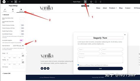 Elementor Popup设置点击连接弹出的2种方法 知乎
