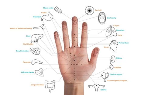 Korean Hand Acupuncture Points