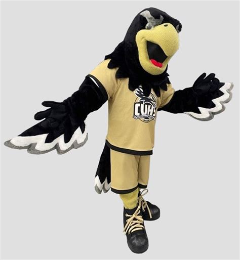 Blackhawk Citrus Valley High School Olympus Mascots