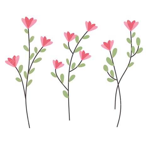 Simple Flowers Botanical Line Art Water Color Decorations Flower Drawing Flowers Drawing Rat