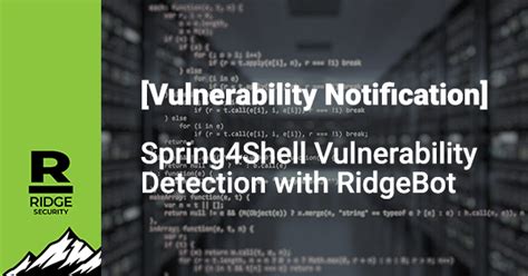 Spring4shell Vulnerability Detection With Ridgebot Ridge Security