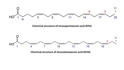 Fatty Acid Definition Structure Types Functions Biology Notes Online