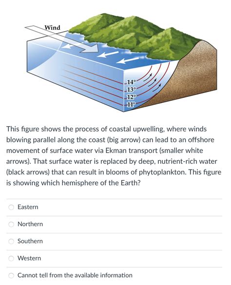 Solved This Figure Shows The Process Of Coastal Upwelling
