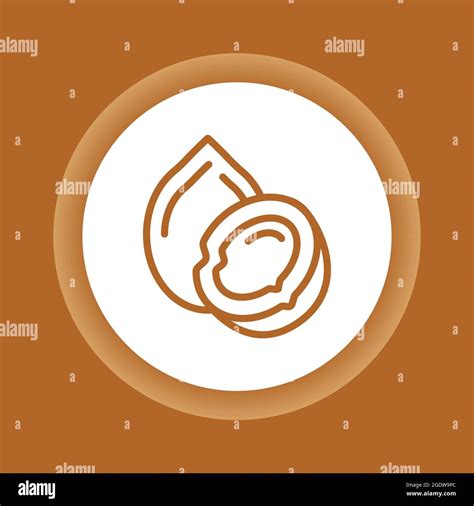 Coconut Color Button Icon Isolated Vector Element Outline Pictogram For Web Page Mobile App