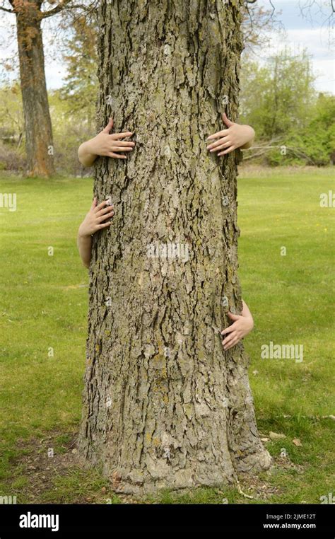 Environmentalist Hugging Tree Hi Res Stock Photography And Images Alamy