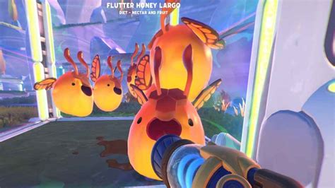 Best Largo Slime Combinations In Slime Rancher 2 Pro Game Guides
