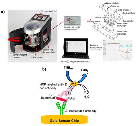 Point Of Care Strategies For Detection Of Waterborne Pathogens