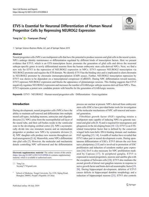 Etv5 Is Essential For Neuronal Differentiation Of Human Neural