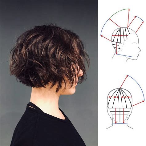 Layered Bob And Diagram By Sprent Diagrams Made Using Hairtechapp Link
