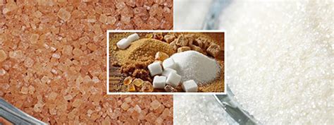 Gac Decolorizing Carbon For Suger Zhulin Carbon