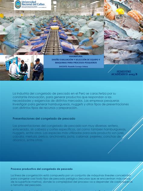 Congelado Pescado Pdf Agua Pescado Como Alimento