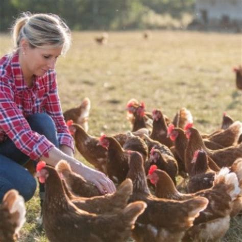 Veterinary Sampling Devices Suppliers From Bretagne