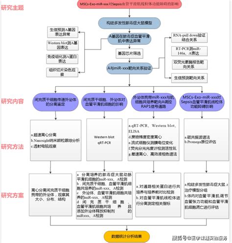 国自然6大经典高分技术路线图流程分享，让你的基金申请脱颖而出 申请国