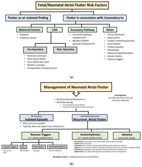Evaluation And Management Of Recurrent Atrial Flutter In Neonates