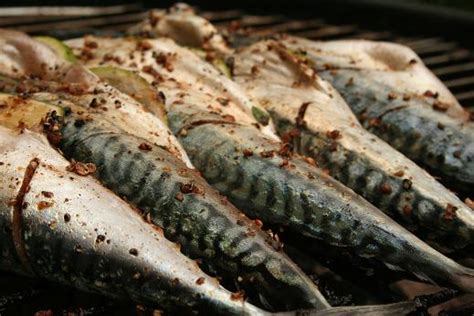 Barbecue Dinner Diary