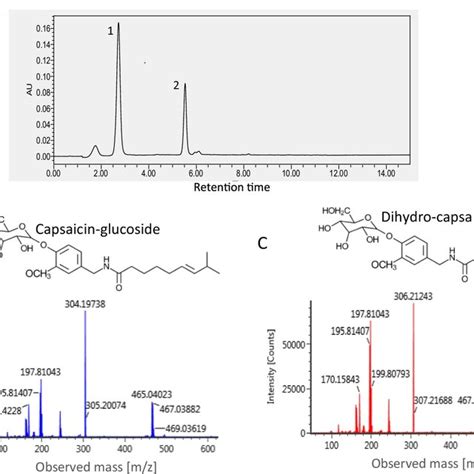 Uplc Esi Q Tof Ms Pda Characteristic Of Fresh Hot Red Pepper Download Scientific Diagram