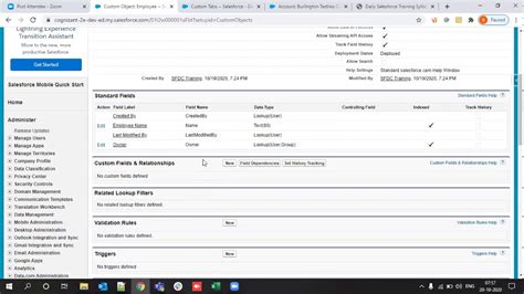 Salesforce Custom Objectfields Creation Part 1 Sfdc Training Telugu Youtube