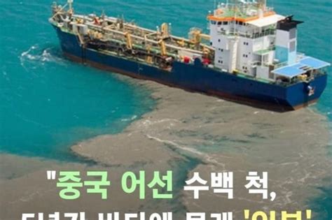 감동란 감동 그자체 화보 촬스의 이슈와 유머