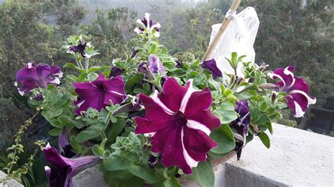 The Moira Bed And Breakfast 66 ̶7̶6̶ Updated 2024 Prices And Bandb Reviews Indiakolkata