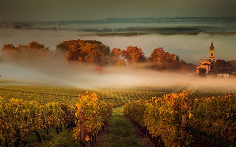 Contact Us — Evolution Fine Wines Contact Us — Evolution Fine Wines