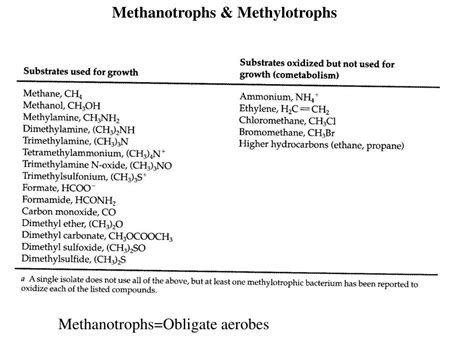 Ppt Bacteria Powerpoint Presentation Free Download Id3321527