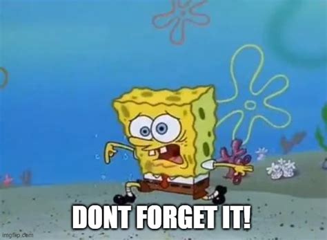 Sbdontforget Imgflip