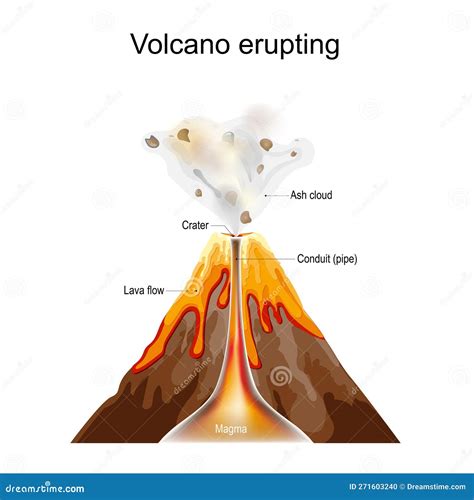 Volcano Eruption Cross Section Of Volcano Vector Illustration