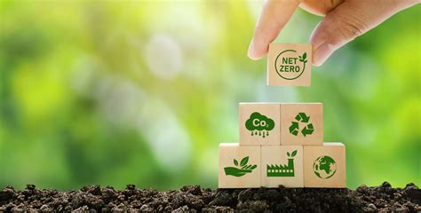 Doorstuffs Eco Friendly Packaging News And Articles