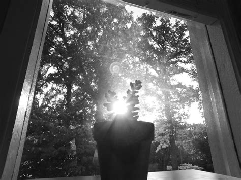 Assignment 1 Flickr Assignment 1 Flickr