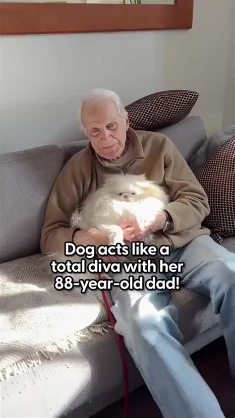 Royal Album On Imgur